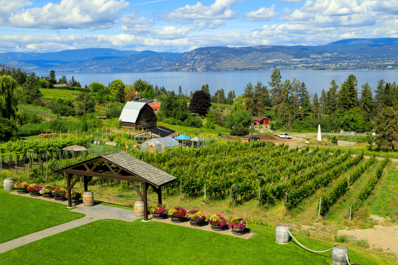 Experience Your Perfect Summer Day in Trailhead at the Ponds ...